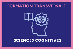 Offre de formation - Sciences cognitives | Académie de Créteil
